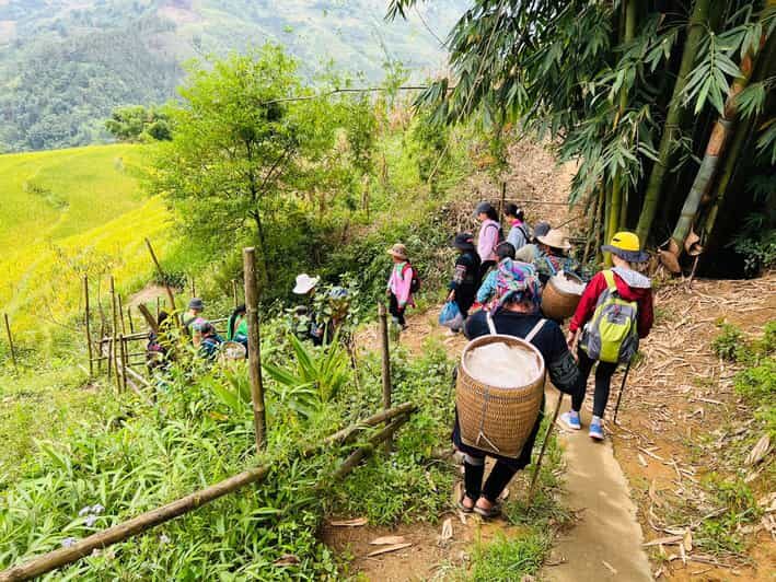 Sapa 1-Day Trekking Tour: Rice Terraces & Villages - Key Points