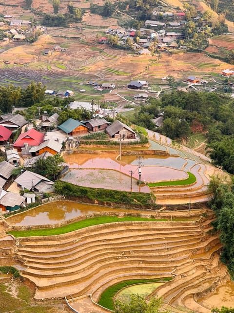 Sapa 1-Day Trekking Tour: Rice Terraces & Villages - Starting Point and Pickup