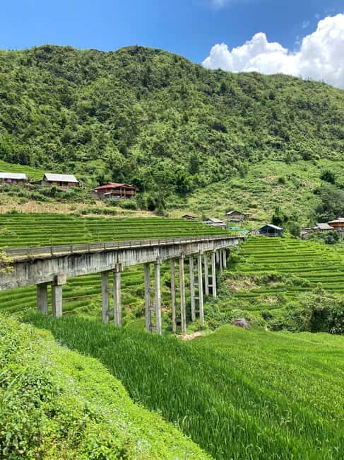 Sapa 1-Day Trekking Tour: Rice Terraces & Villages - Trekking through Ta Van and Scenic Views (2 hours)