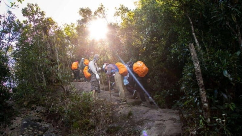 Sapa: 2-Day Trek to Fansipan - Indochina's Highest Peak - Transportation and Logistics