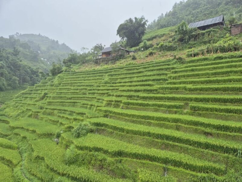 SAPA 2 Day trekking & 1 night Homestay with LOCAL PEOPLE - Why Travelers Rave About This Experience
