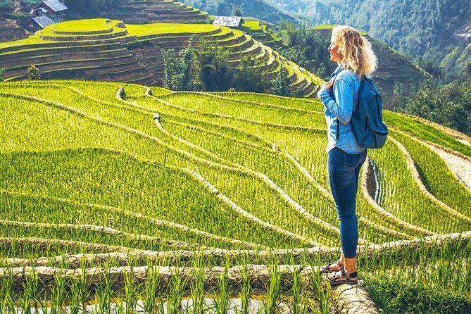 Sapa 2 Days 1 Night Tour from Hanoi  Trekking & Local Experience - Key Points