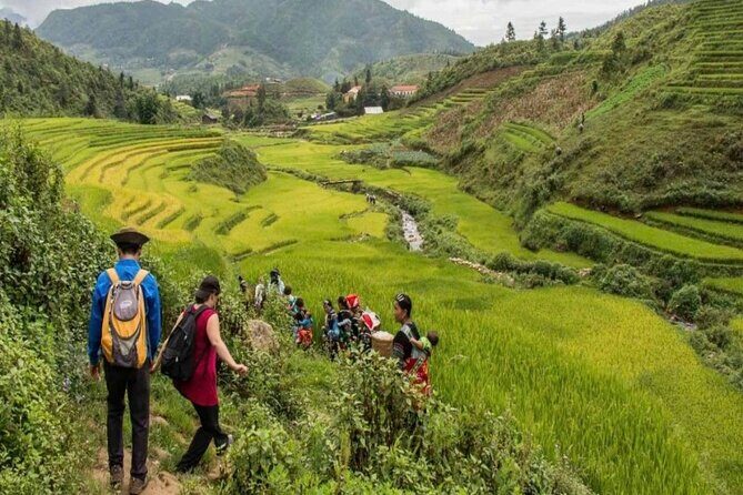 Sapa 2 Days 1 Night Tour from Hanoi  Trekking & Local Experience - Who Will Love This Tour?