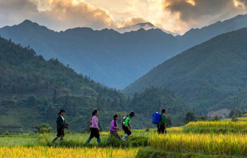 Sapa 2-Days Trek tour - Stay Sapa Homestay - An In-Depth Look at the 2-Day Sapa Trek Experience