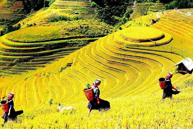 Sapa 2 Days Trek with 1 Night Homestay - Key Points