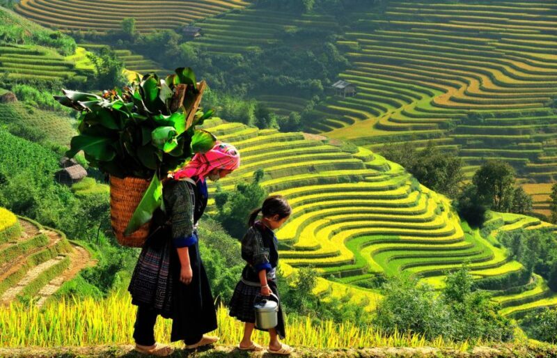 Sapa: 3-Day, 3-Night Trek and Hotel with Overnight Train - Key Points