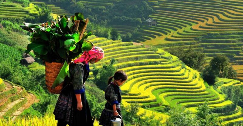 Sapa: 3-Day, 3-Night Trek and Hotel with Overnight Train - Practical Details and Tips