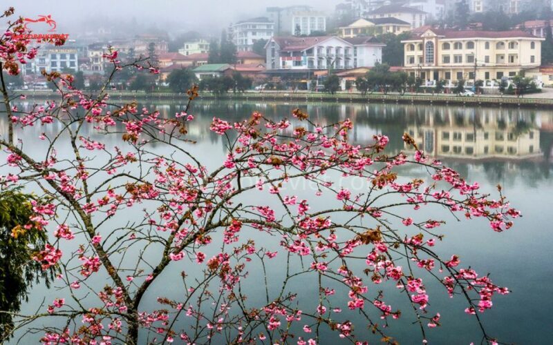 SAPA 3 DAYS 2 NIGHTS PACKAGE - Who This Tour Is Best For