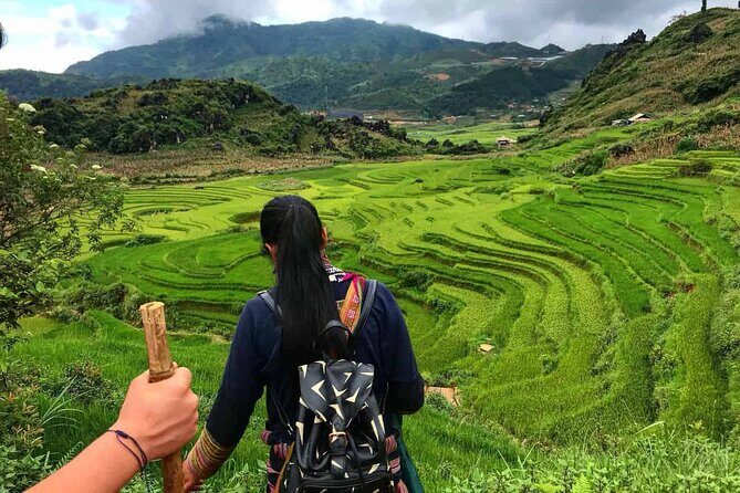 Sapa 3 Days Trek with 2 Nights Homestay - The Itinerary: What You Can Expect Each Day