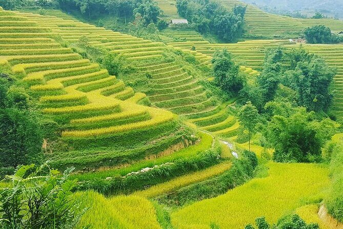 Sapa 3 Days Trekking Tour (1 Night in Bungalow, 1 Night In Hotel) - FAQ