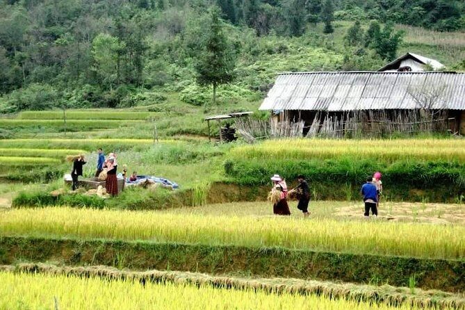 Sapa 3 Days Trekking Tour By Bus from Hanoi (2 Nights in Hotel) - Transportation and Comfort