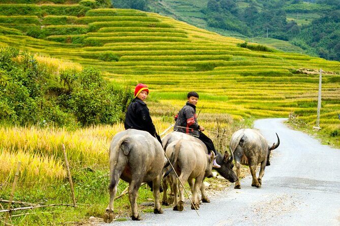 Sapa 3 Days Trekking Tour By Bus from Hanoi (2 Nights in Hotel) - The Sum Up