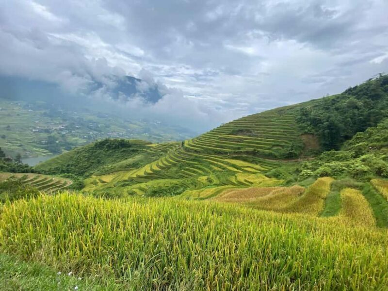 Sapa: 4-Day Trekking Tour with Homestay - Key Points
