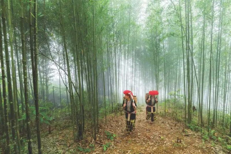 Sapa: 4-Day Trekking Tour with Homestay - An In-Depth Look at the 4-Day Sapa Trekking Experience