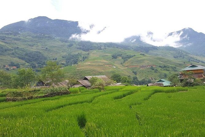 Sapa Amazing 1 Day Trip: Muong Hoa Valleys & Authentic Villages - Who Would Love This Tour?