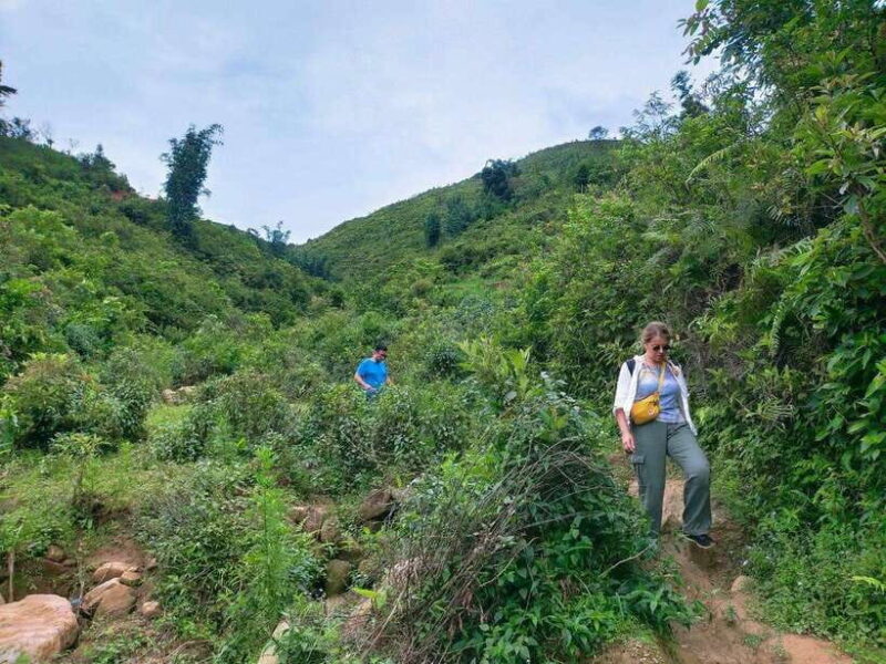 Sapa: Amazing Suoi Ho, Ma Tra Villages Private Day Trip - Discover the Beauty and Culture of Sapa in a Day