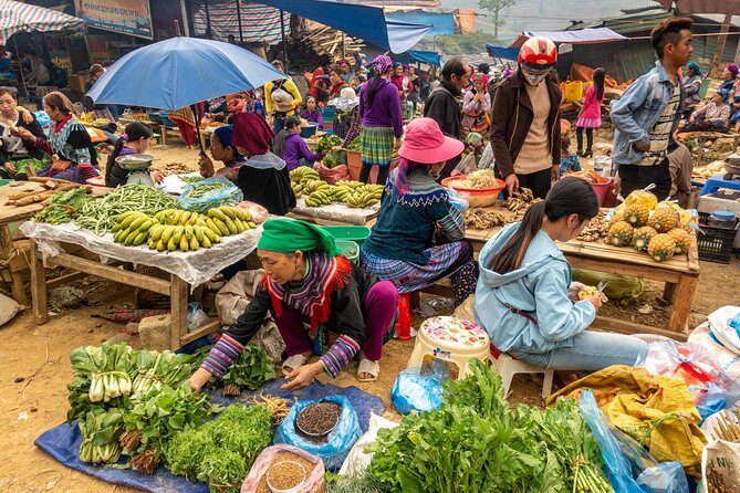 Sapa, Bac Ha Market Tour - 1 Day Tour - What Makes This Tour Stand Out?