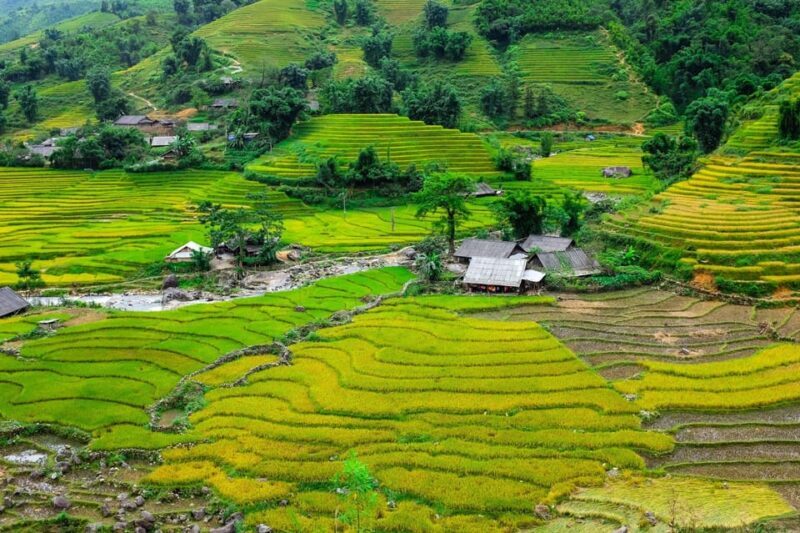 Sapa beautiful rice field, village - Easy walking kid,senior - Key Points