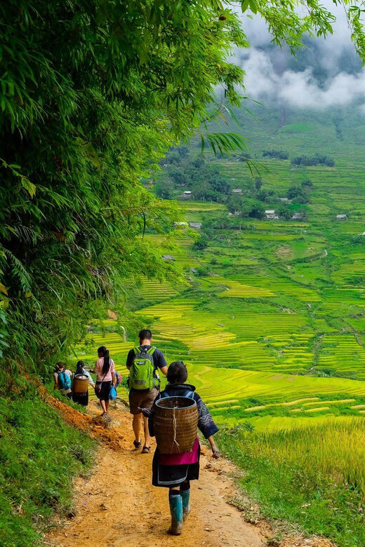Sapa beautiful rice field, village - Easy walking kid,senior - A Close Look at the Tour Experience