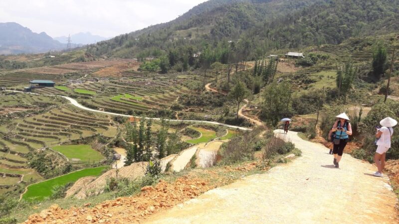 Sapa beautiful rice field, village - Easy walking kid,senior - Who Should Consider This Tour?