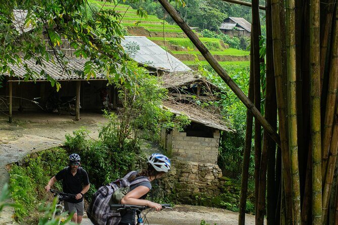 Sapa Bicycle Tour - Visit Muong Hoa Valley And Batik Workshop - The Sum Up: Who Will Love This Experience?