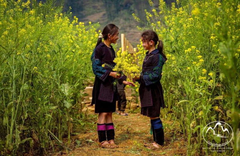 Sapa Cat Cat Village And Y Linh Ho Private Trekking Tour - An In-Depth Look at the Experience