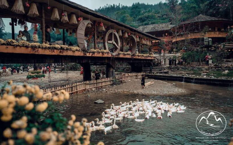 Sapa Cat Cat Village And Y Linh Ho Private Trekking Tour - Who Should Consider This Tour