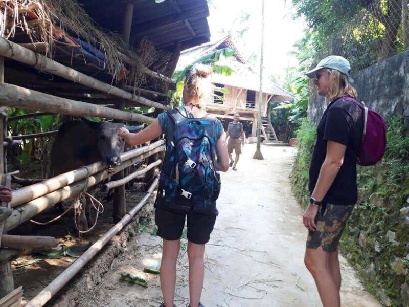 Sapa Cat Cat Village And Y Linh Ho Private Trekking Tour - The Sum Up: The Value of an Authentic Sapa Experience