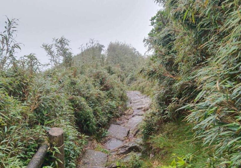 SAPA : Climb up to Fansipan mountain with LOCAL GUIDE - FAQ