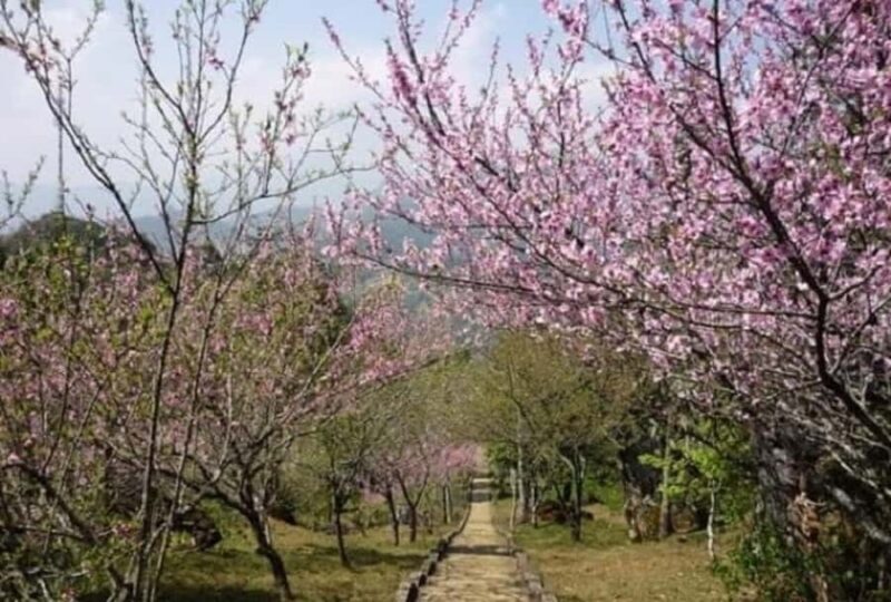 Sapa: "Dragon Jaw Mountain" Panorama Experience - FAQ