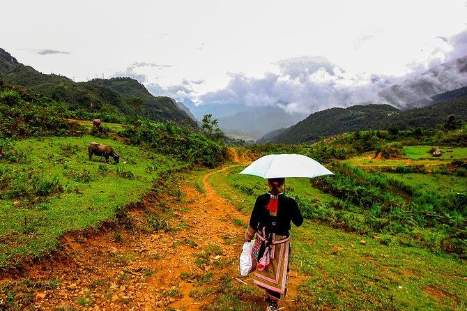 Sapa Easy Trekking Tour 1 Day - Rice Paddies and Cultures - Why Travelers Rave About This Tour