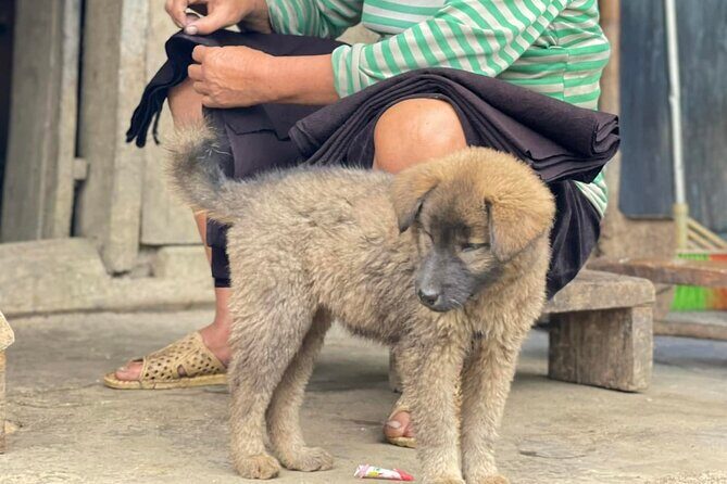 Sapa Explorer Trek: Stunning Views & Minority Villages - Final Thoughts