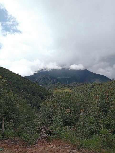 Sapa: Fansipan 2D1N with local experts - An In-Depth Look at the Fansipan Trek