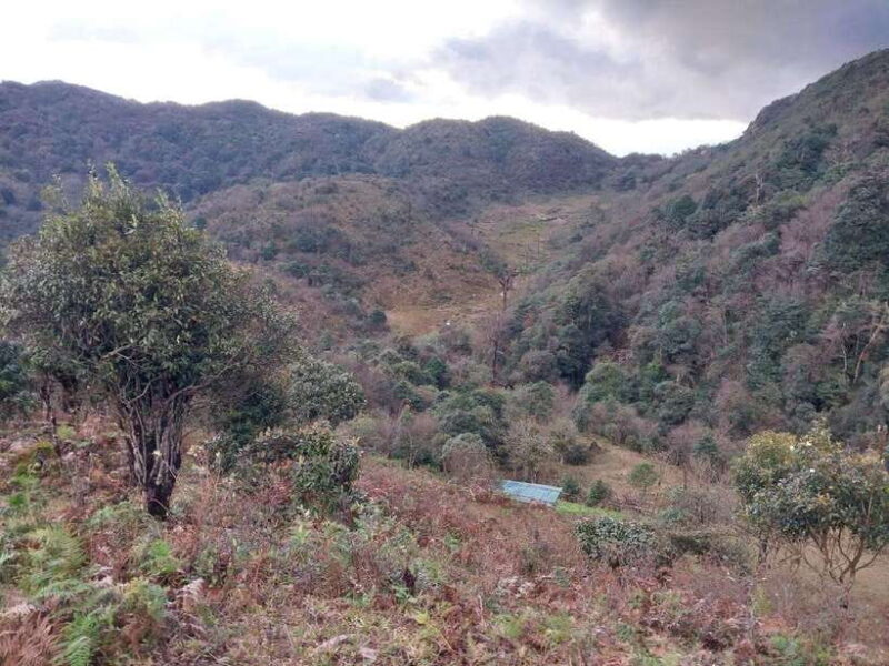 Sapa: Fansipan Mountain 2-Day Trekking Tour - Authentic Experience & Traveler Feedback