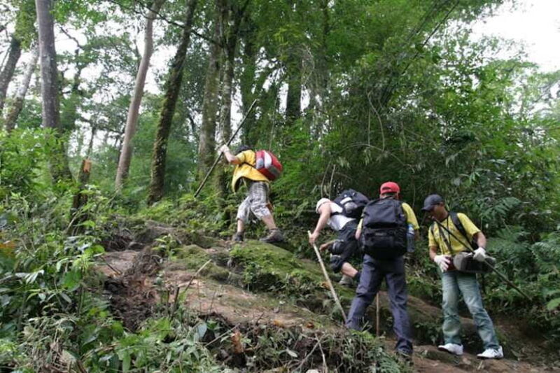 Sapa: Fansipan Peak Full-Day Trek with Lunch - The Sum Up