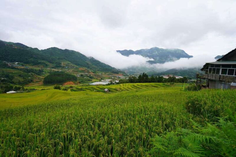Sapa: Full-Day Hike to Ta Phin & Cat Cat Village with Lunch - Who This Tour Is Best For