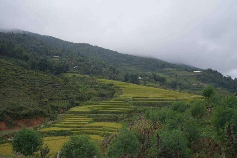 Sapa: Full-Day Hike to Ta Phin & Cat Cat Village with Lunch - FAQs