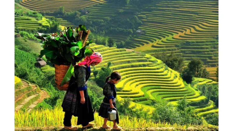 Sapa: Guided Day Trek to Lao Chai & Ta Van - Practical Details and What to Expect