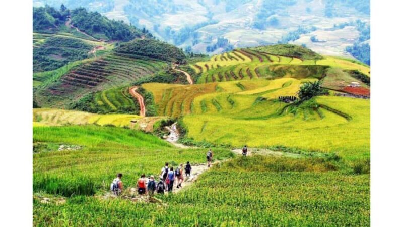 Sapa: Guided Day Trek to Lao Chai & Ta Van - The Sum Up