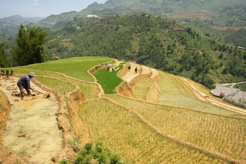 Sapa Half Day hard trekking villages trip with lunch & guide - Key Points