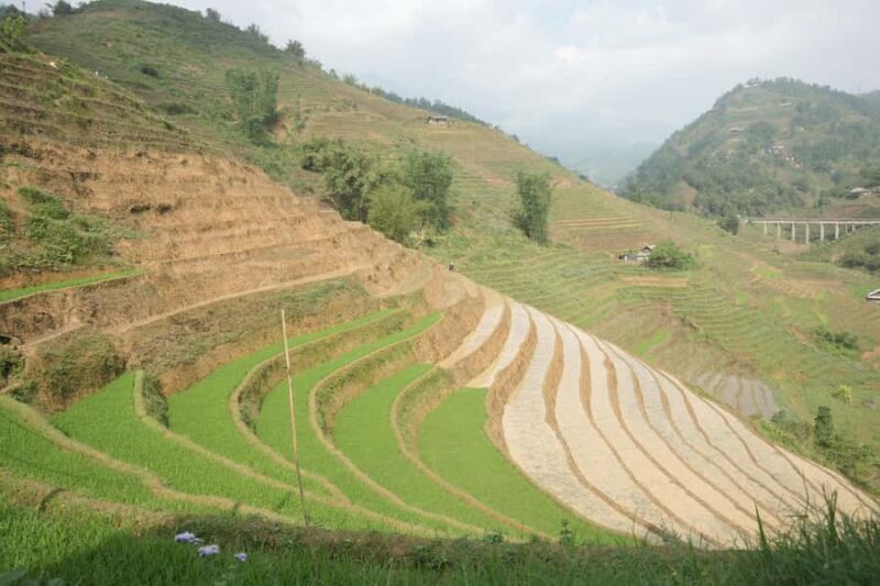 Sapa Half Day hard trekking villages trip with lunch & guide - FAQs