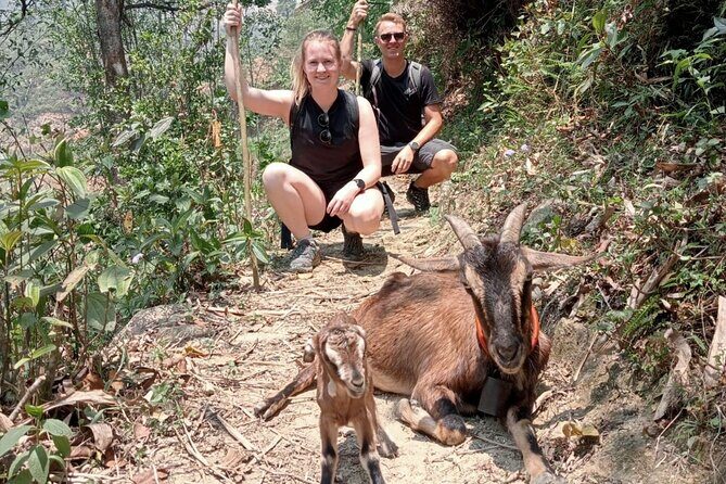 Sapa Half Day Local Farming Experience - Practical Details and Tips for Travelers