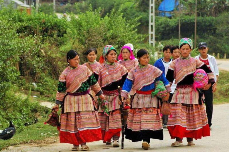Sapa: Half Day Treck To Visit Y Linh Ho , Lao Chai, Ta Van - Key Points