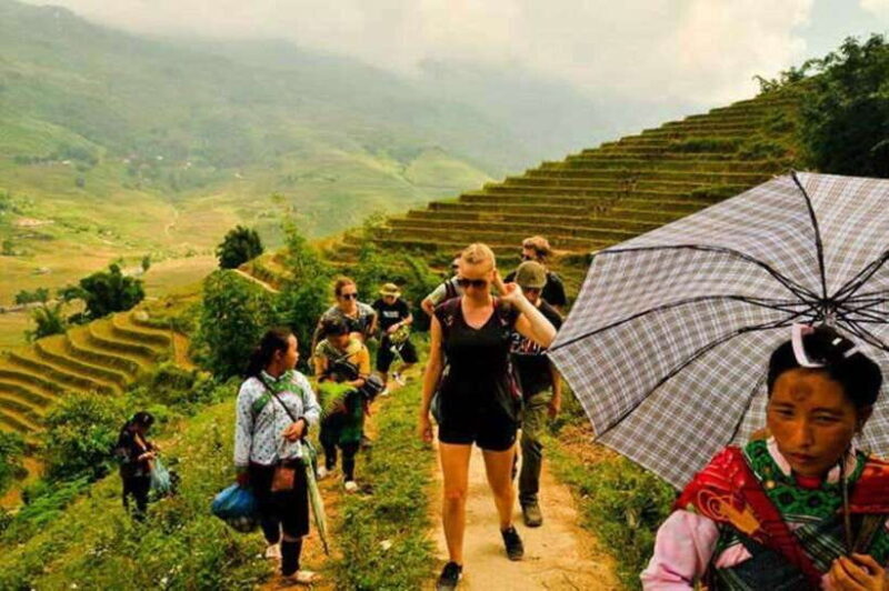 Sapa: Half Day Treck To Visit Y Linh Ho , Lao Chai, Ta Van - Introducing the Sapa Half-Day Trek