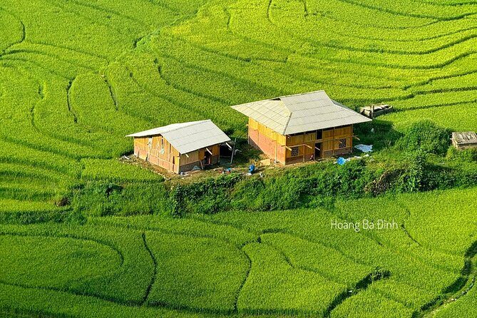 Sapa Half-Day Trekking: Stunning Rice Terraces & Local Village - Who Will Love This Tour?