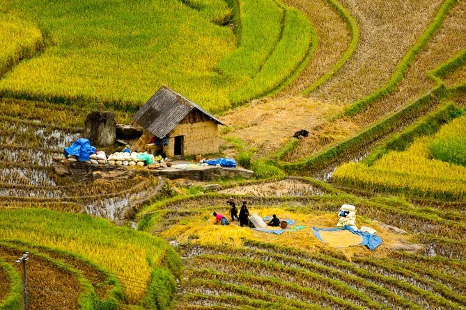 Sapa Hard Trekking villages 2D/1N: Homestay, Meals, English speaking guide - The Experience: What Makes It Great