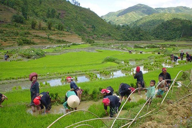 Sapa Hard Trekking villages 2D/1N: Homestay, Meals, English speaking guide - Practical Considerations