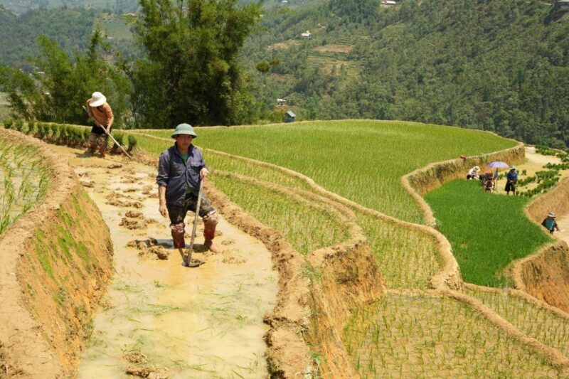 Sapa hard trekking villages and homestay 2 days 1 night trip - The Itinerary Breakdown