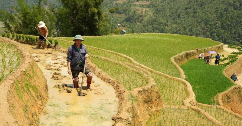 Sapa hard trekking villages and homestay 2 days 1 night trip - The Experience in Depth