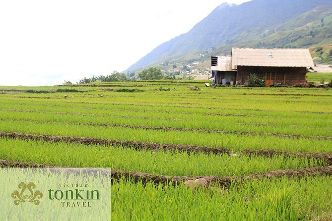 Sapa hard trekking villages homestay 3days/ 2nights tour - amazing culture - Transportation & Logistics